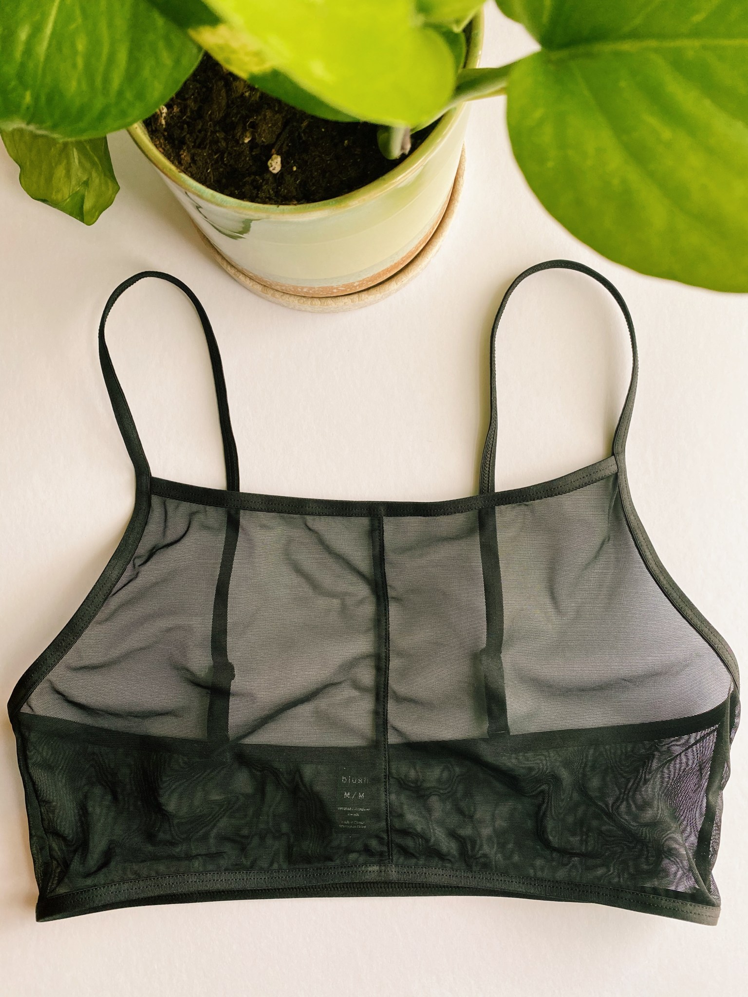 Review of Blush Lingerie: Meet Your New Go-To Lingerie Set – The ...